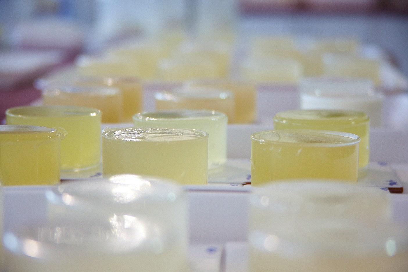 Hydrocolloïden | Timmers Food Creations Deventer